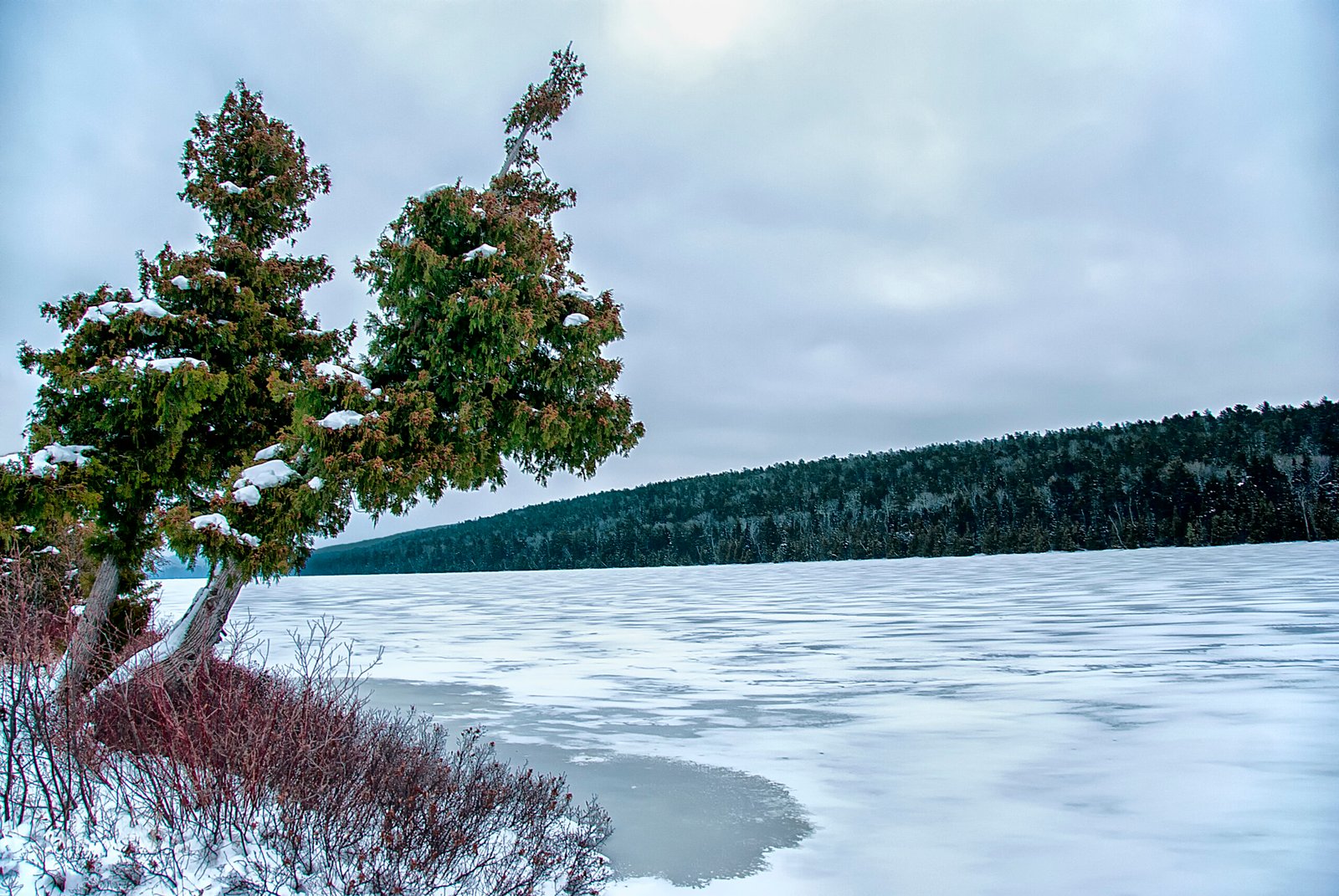 The Connection Between Lake Michigan and Chicago’s Snowfall - Climate ...