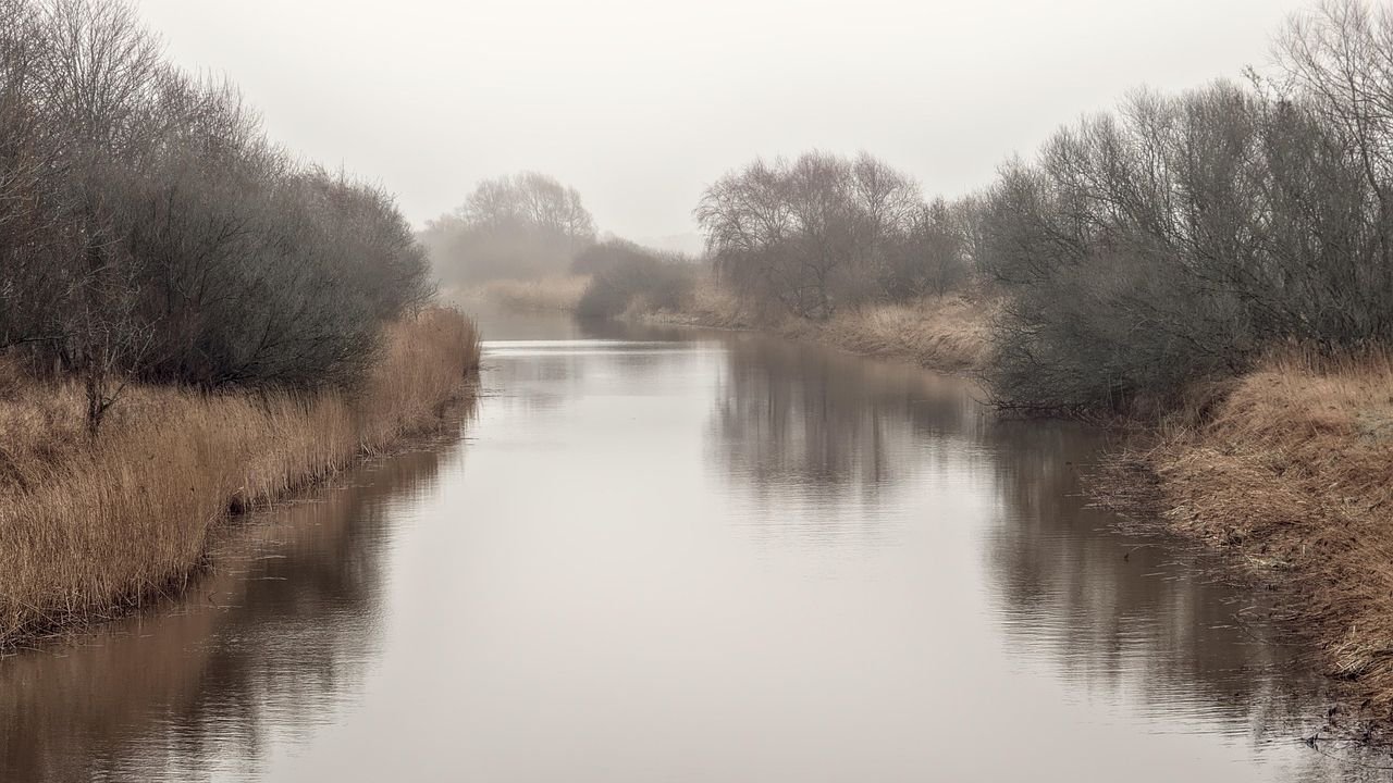 Atmospheric Rivers Explained: Why the West Coast is Seeing Record ...